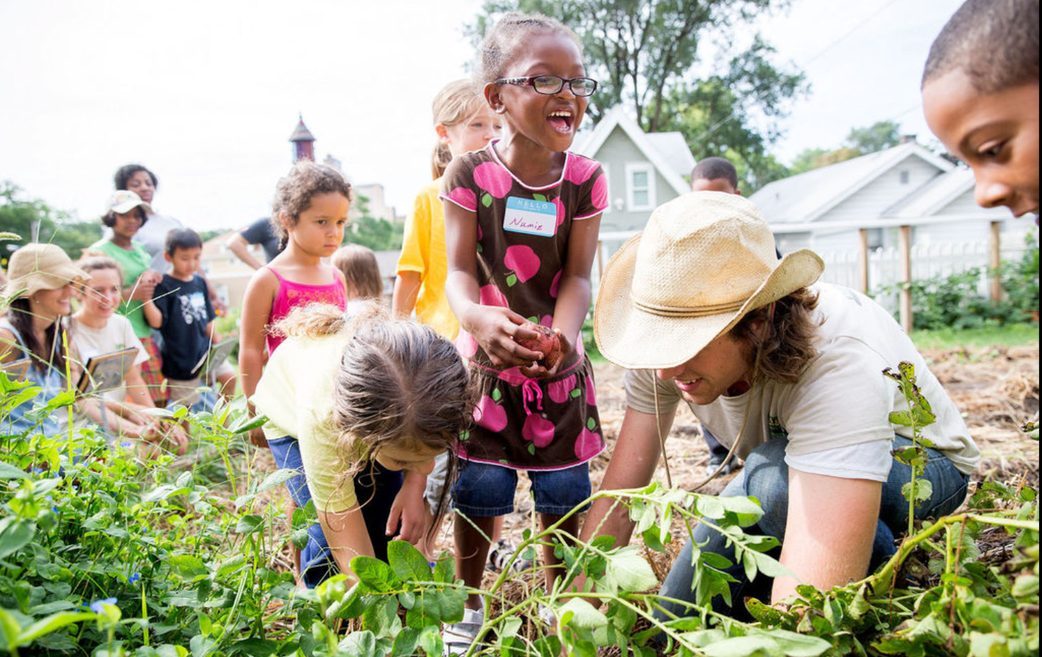Become An "Observational Scientist" Carbon Farmer!